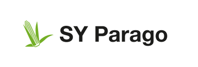 SY PARAGO - Variety | Syngenta Italia