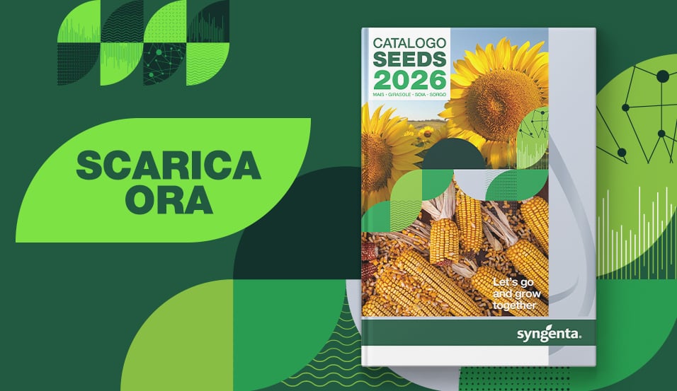 Syngenta Seeds: ECCO IL NUOVO CATALOGO 2026! | Syngenta Italia