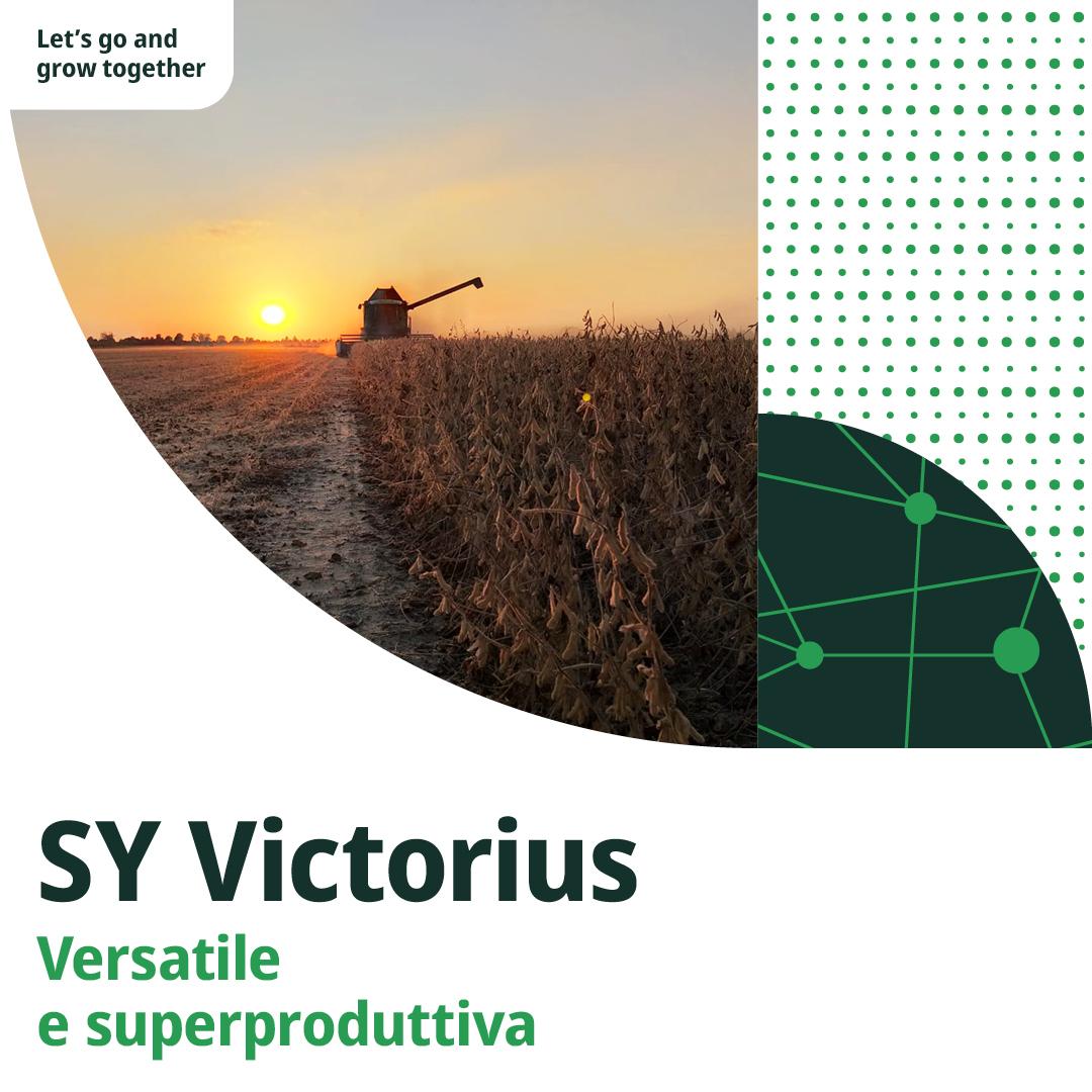 soia2025 | Syngenta Italia